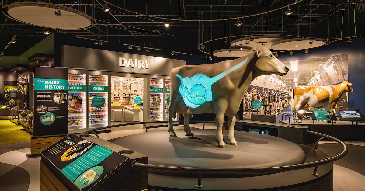 4 Key Components To Successful Projection | Electrosonic